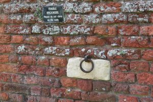 Warhorse | The Archaeology of a Medieval Revolution?